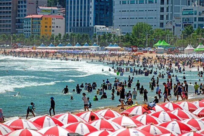 1-DAY Busan and INCLUDED night tour - FAQs