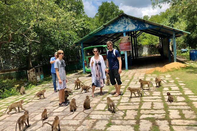 1-Day Can Gio Island- Mangrove Biosphere Reserve-Group of 10 Max - The Sum Up
