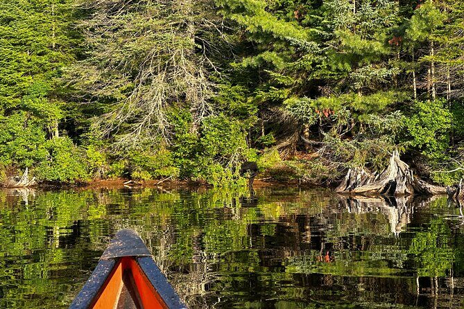 1 Day Canoeing Tour in Algonquin Park - Who Should Consider This Tour?