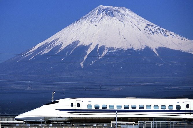 1 Day Charter Tour to Mt Fuji View - Driver and Vehicle Information