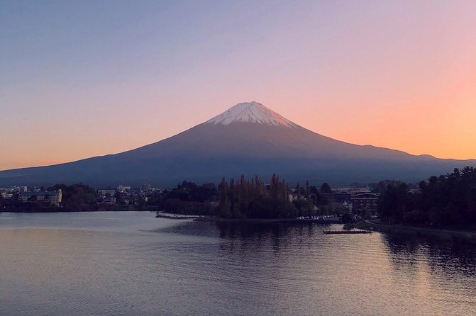 1 Day Charter Tour to Mt Fuji View - Customer Reviews and Experiences