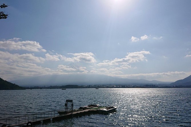 1 Day Charter Tour to Mt Fuji View - Itinerary Highlights