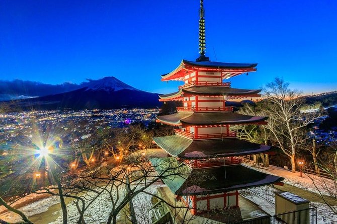 1 Day Charter Tour to Mt Fuji View - Optional Activities and Customizations