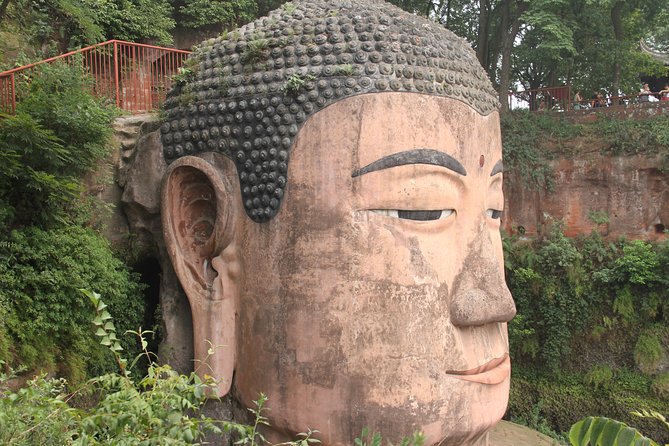 1-Day Chengdu Panda Base and Leshan Giant Buddha GROUP Tour - Who Will Love This Tour?