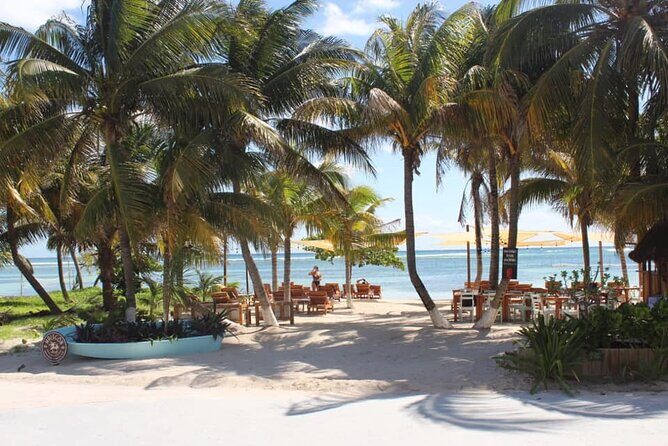 1 Day Costa Maya Premium Beach Break Experience - The Sum Up: Who Will Love It and Who Might Be Better Off Looking Elsewhere?