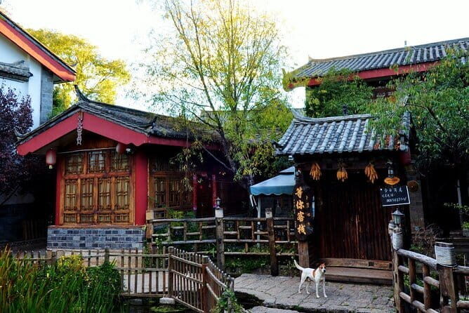 1-Day Dongba and Naxi Culture Tour in Lijiang - Who Would Love This Tour?