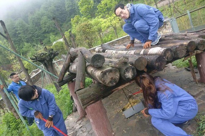 1-Day Dujiangyan Panda Base Volunteer Program Tour from Chengdu - What to Expect from the Tour