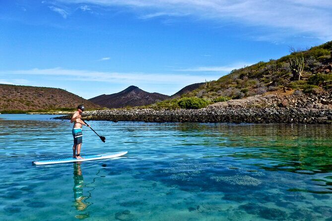 1 Day Espiritu Santo Island Wonders, Sea Lions and Paddleboard Adventure - Who Will Love This Tour?