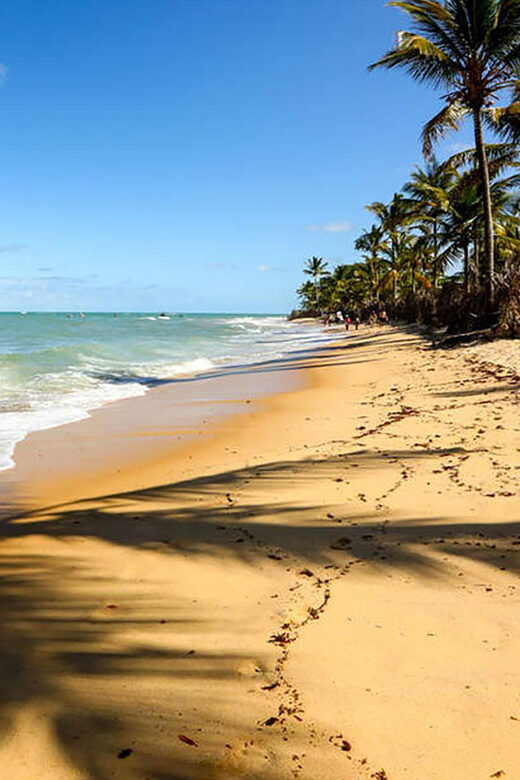 1-day excursion to Cumbuco Beach - Key Points