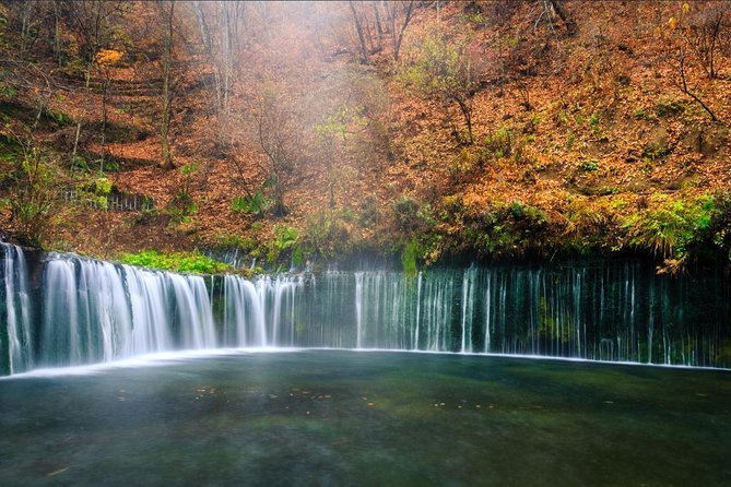 1 Day Family Fun at Fuji Private Tour - Highlights of the Tour