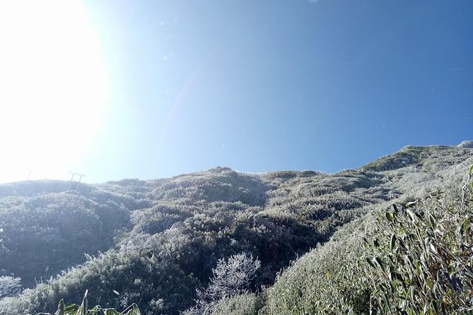 1 day Fansipan Trekking - Authentic Experiences as Noted by Travelers