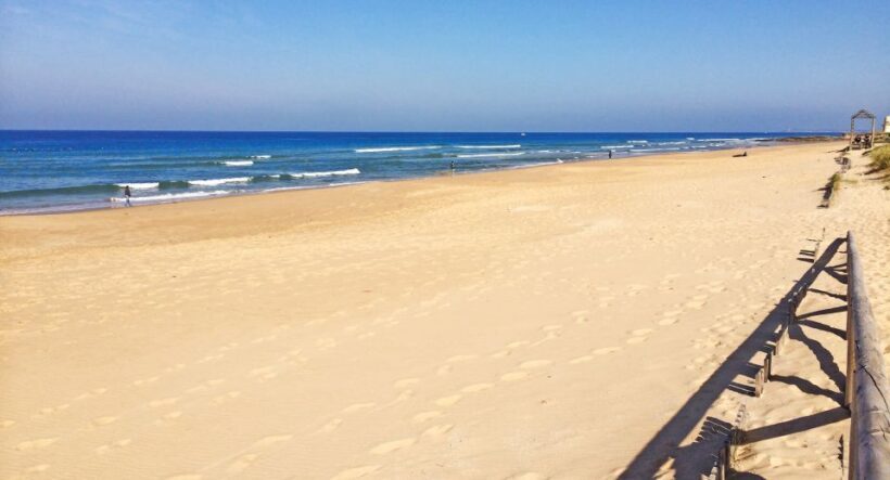 1 Day for Vejer and the South Beaches of Cádiz in SUV (4x4) - Who This Tour Is Best For