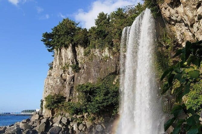 1 Day Free schedule Tour a lot of experince driver in jeju island - Introduction: A Day Packed with Jeju’s Best