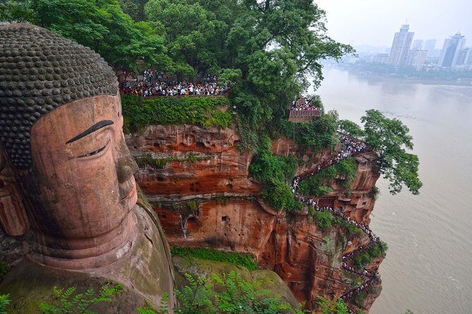 1 day Giant Panda & Leshan Buddha Private Tour - Authentic Experiences and Practical Tips