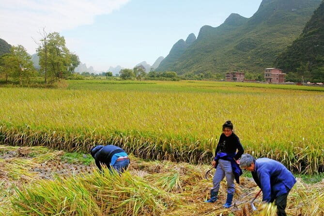 1 Day Guilin Sanjiang Tour to Dong Villages - Final Thoughts