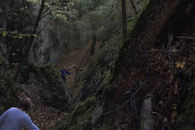 1 day hiking in Birtvisi Canyon from Tbilisi - What Reviewers Say