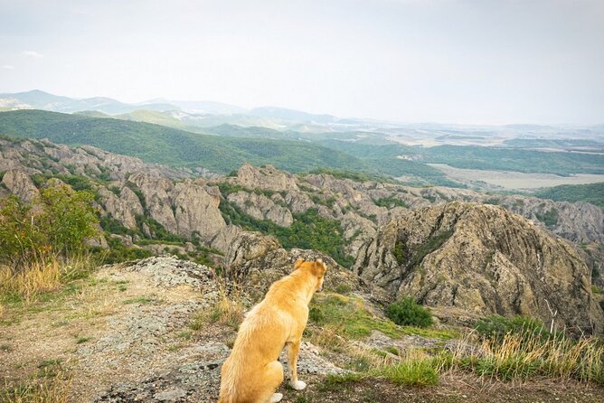 1 day hiking in Birtvisi Canyon from Tbilisi - Who Will Enjoy This Tour?