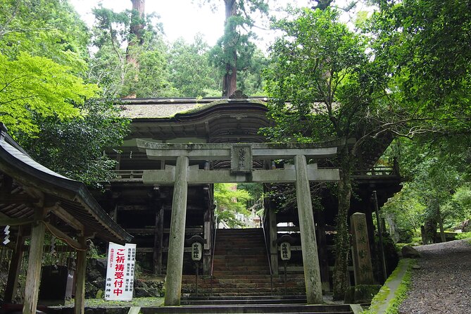 1 Day Hiking Tour in the Mountains of Kyoto - Physical Requirements and Safety Considerations