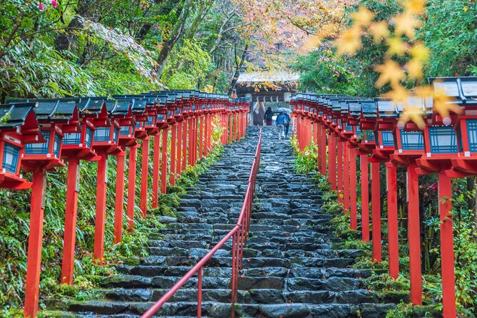 1 Day Hiking Tour in the Mountains of Kyoto - Guest Feedback and Recommendations