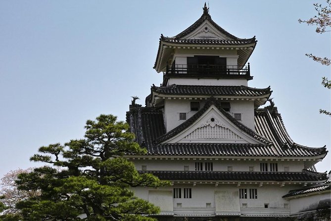 1-Day Kochi Highlights Tour With Local Guide - Concerns and Issues