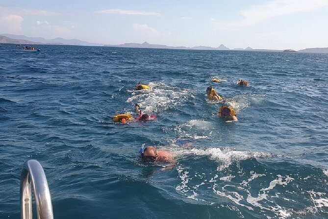 1- day Komodo Island Hopping Tour by Speed Boat departure From Labuan bajo - An In-Depth Look at the Tour Experience