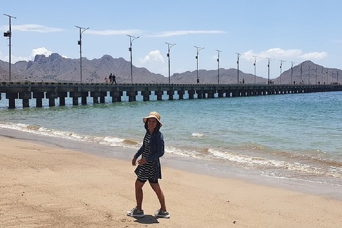 1- day Komodo island Tour hopping around by Speed Boat - The Sum Up