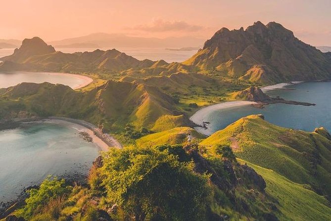 1 Day Komodo Trip by Private Fast Boat - Practical Tips for Travelers