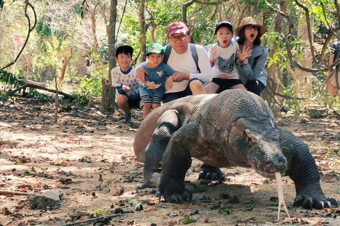 1 Day Komodo Trip By Shared Fast Boat - What Travelers Say