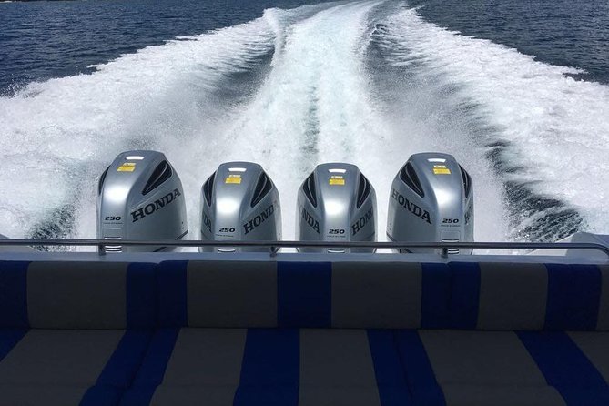 1 Day Komodo Trip By Shared Fast Boat - The Practical Side: Transportation, Timing, and Group Size