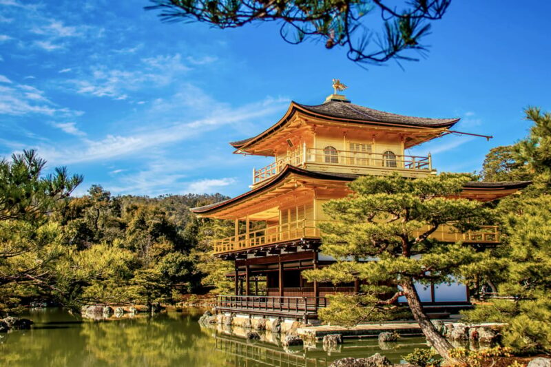 1 Day Kyoto to Nara: Penetrate Into Japanese Ancient Culture - Additional Experiences and Considerations