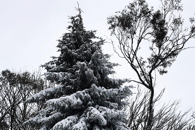 1 day Lake mountain snow tour - Introduction: Should You Book This Tour?