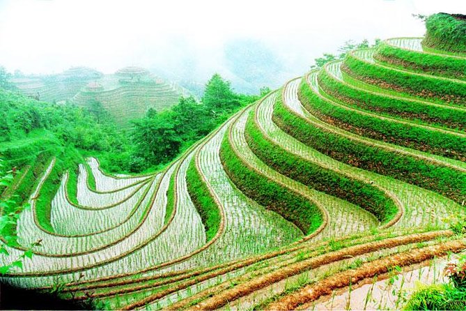 1-Day Longsheng Rice Terrace Tour from Guilin with Private Guide & Driver - Exploring the Longsheng Rice Terraces