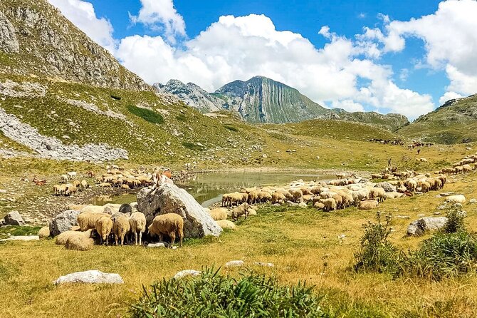 1-Day Montenegro Hiking Tour to Durmitor National Park - Meeting and Pickup Information