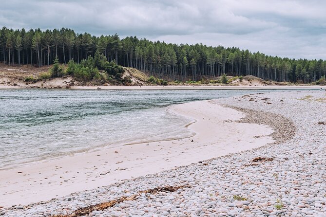1-Day Moray Coast Tour With Speyside Whisky From Inverness - Wildlife and Nature Spotting