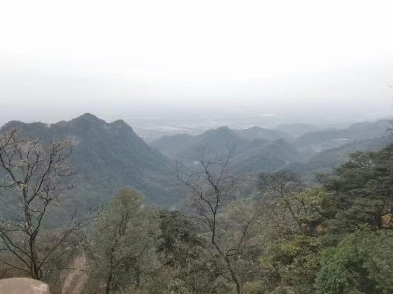 1-Day Mount Qingcheng and Dujiangyan Irrigation System Tour - Authentic Experiences and Top Highlights