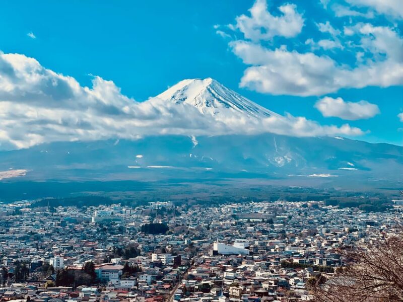1-Day Mt Fuji Sightseeing Trip From Tokyo - Additional Stops and Sightseeing