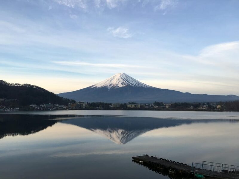 1-Day Mt Fuji Sightseeing Trip From Tokyo - Guide and Accessibility