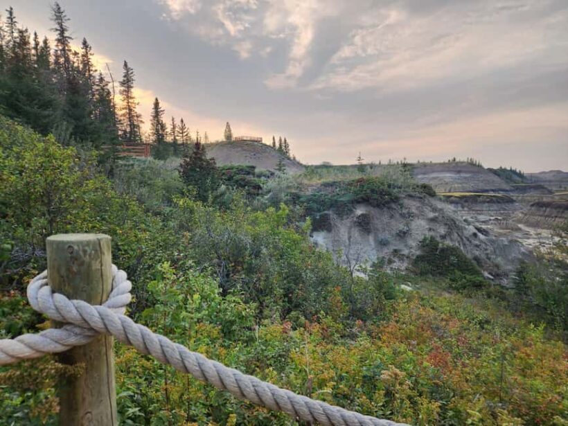 1 Day of Drumheller Dinosaurs and Badlands Guided Tour - A Closer Look at the Itinerary and What You’ll Experience
