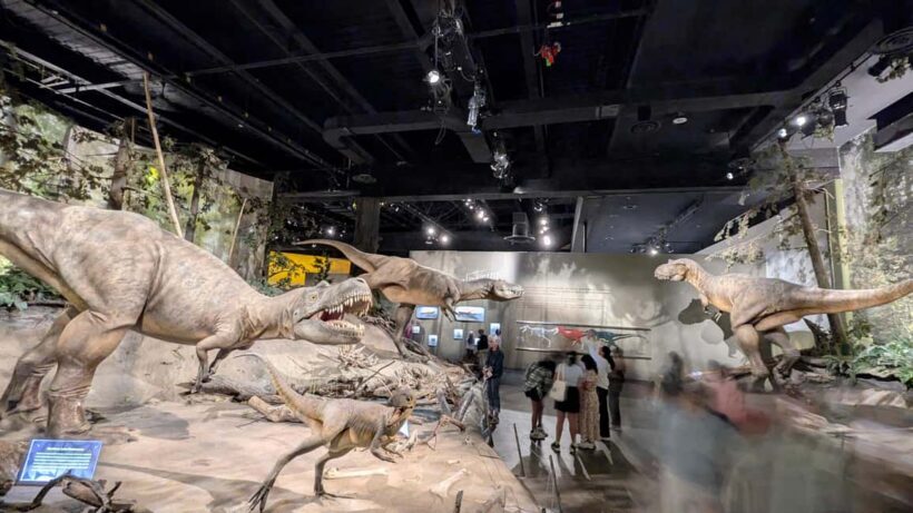 1 Day of Drumheller Dinosaurs and Badlands Guided Tour - The Authentic Experience and Practical Considerations