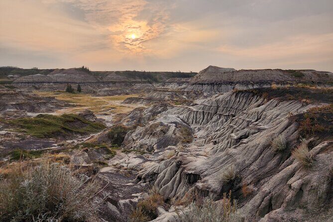 1 Day of Drumheller Dinosaurs and Badlands in Private Custom Tour - Transportation and Comfort