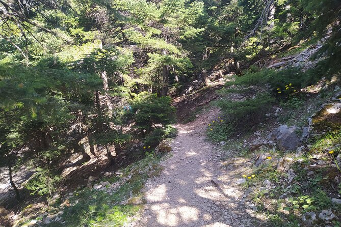 1 Day Parnitha Athens Private Hiking Tour with Hotel Pickup - Who Will Love This Tour?