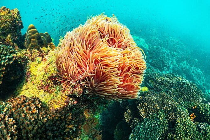 1 Day Phu Quoc Boat Trip with Three Islands - A Detailed Look at the Itinerary