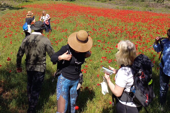 1 Day Pilgrimage Experience to Fátima - Practical Tips for Participants