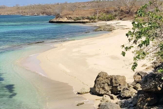 1 Day Pink Beach Tour in East Lombok - Introduction