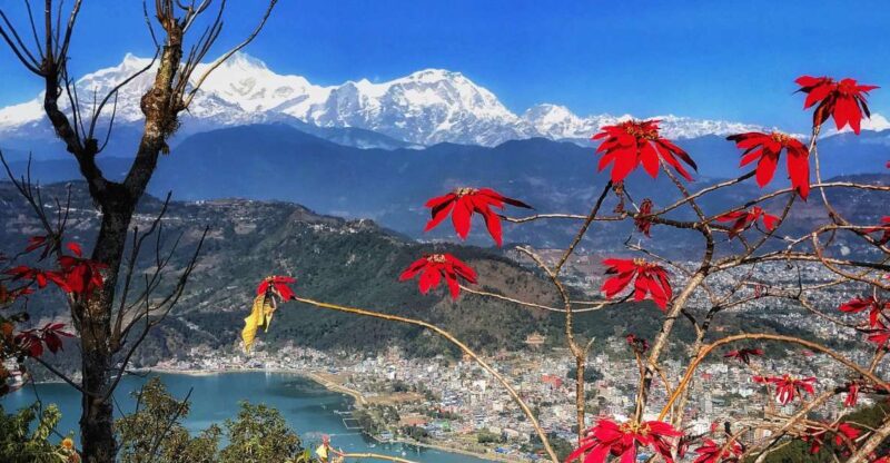 1 Day Pokhara Tour from Kathmandu by flight - Who Should Consider This Tour?