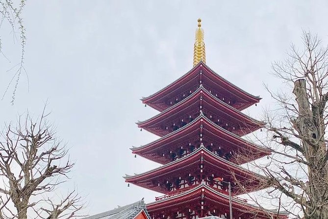 1 Day Private Charter Tokyo Sight Seeing Green Number Plate - Guide Experience and Customer Feedback