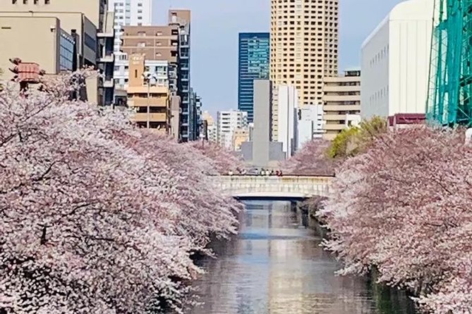 1 Day Private Charter Tokyo Sight Seeing Green Number Plate - Visit the Sensoji Temple