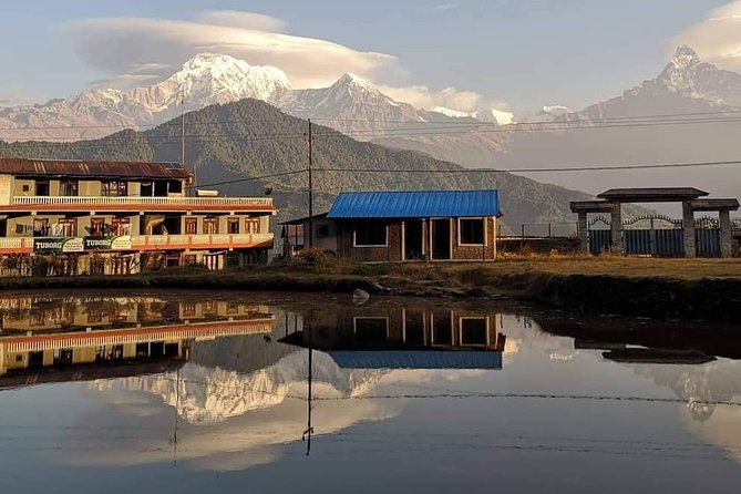 1-Day Private Dhampus Trekking Tour - Itinerary Breakdown and What to Expect