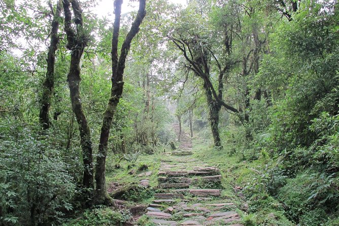 1-Day Private Dhampus Trekking Tour - Why Choose This Tour?