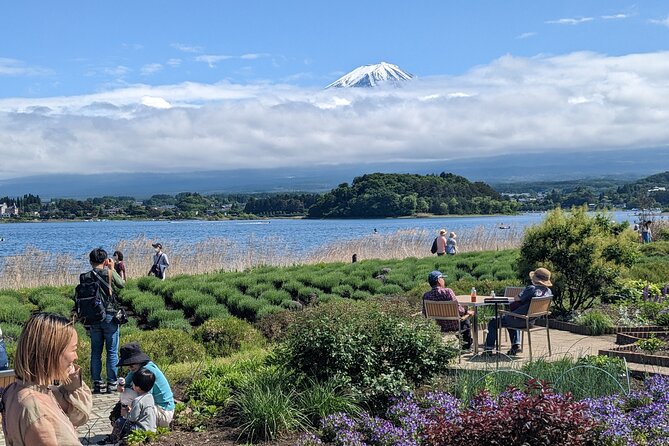 1 Day Private Mt Fuji & Lake Kawaguchiko English Speaking Driver - Customer Experience